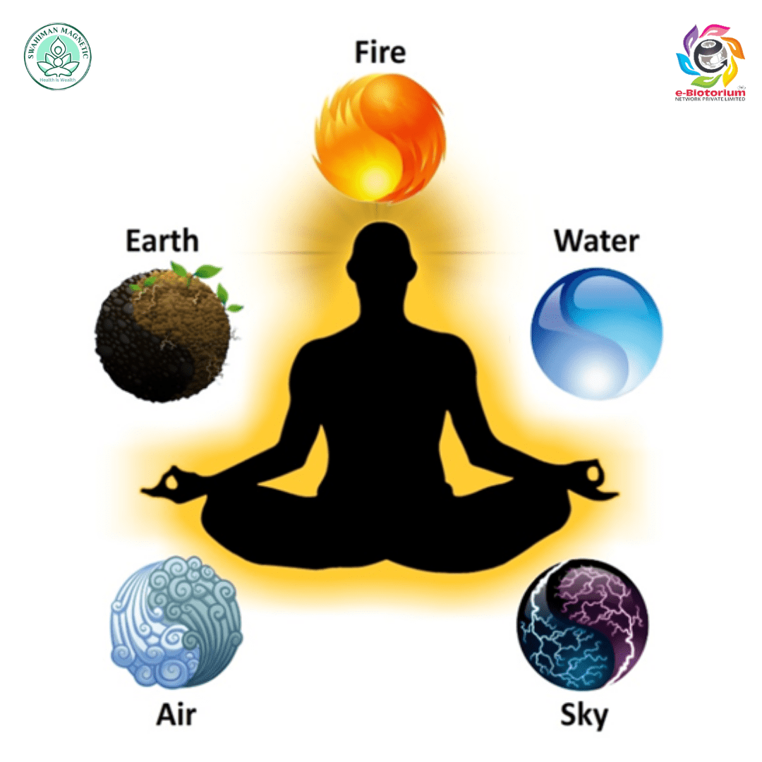 Our Human Body - SWAHIMAN MAGNETIC